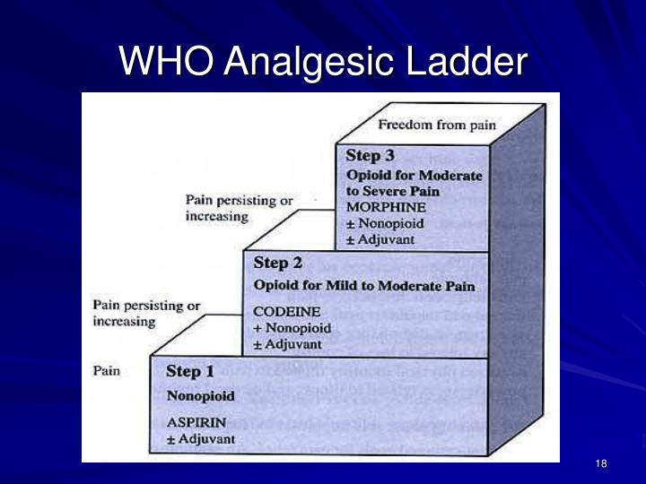 PPT - General guideline for pain therapy and opioid usage PowerPoint ...