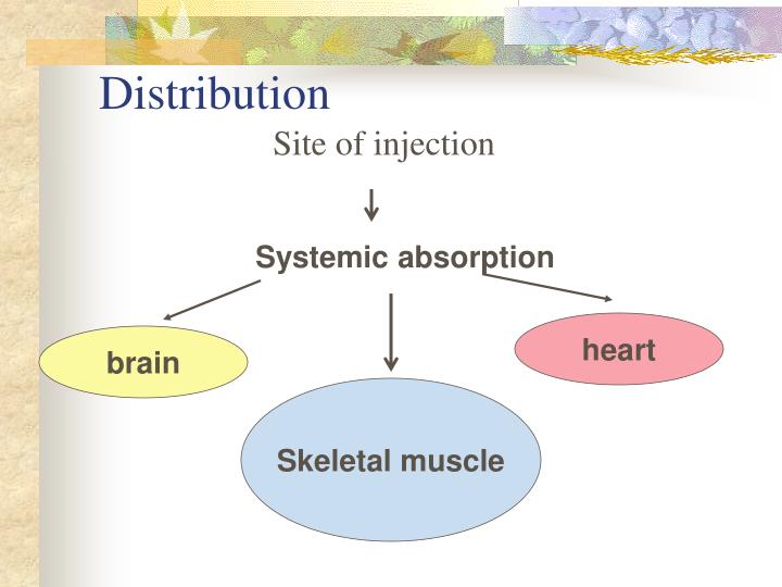 PPT - LOCAL ANESTHETIC AGENTS PowerPoint Presentation - ID:145486