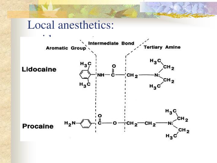 PPT - LOCAL ANESTHETIC AGENTS PowerPoint Presentation - ID:145486
