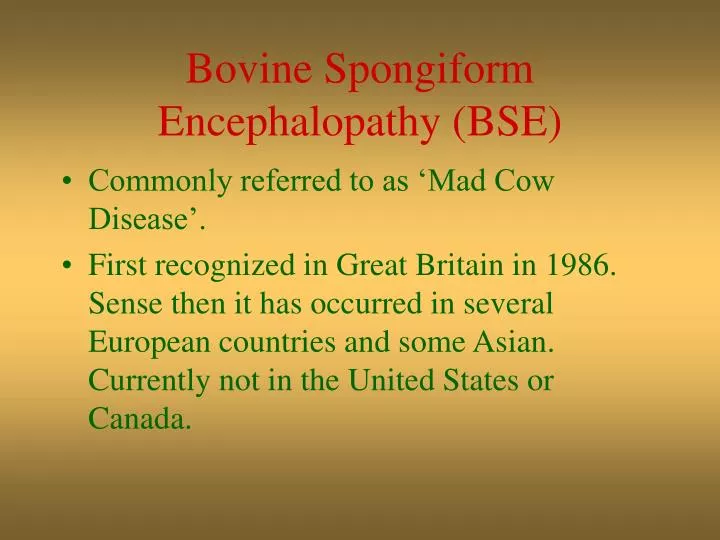 PPT - Bovine Spongiform Encephalopathy (BSE) PowerPoint Presentation ...