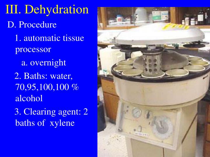 PPT - Tissue Processing PowerPoint Presentation - ID:1455886