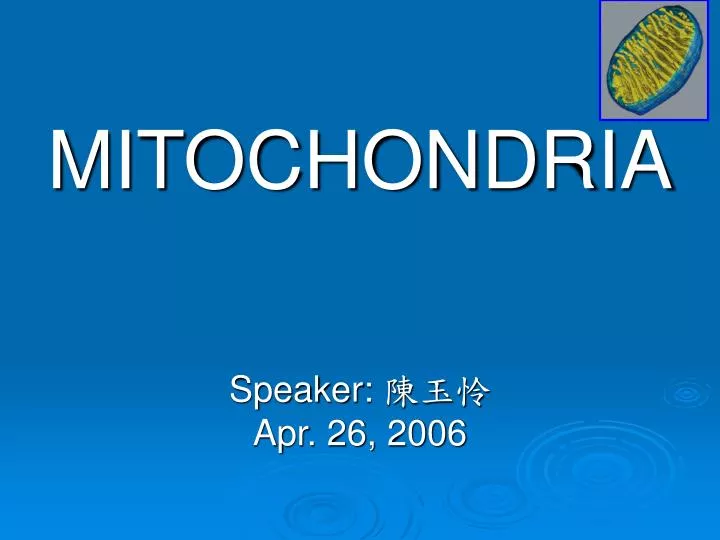 PPT - MITOCHONDRIA PowerPoint Presentation, free download - ID:1457719