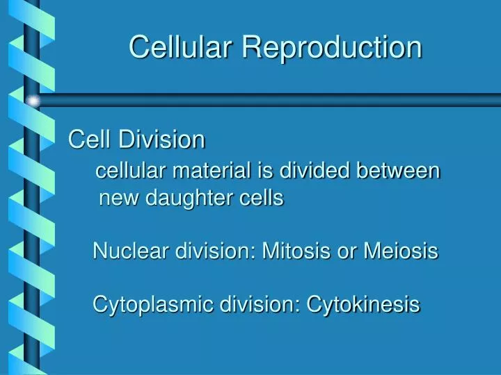Ppt Cellular Reproduction Powerpoint Presentation Free Download Id