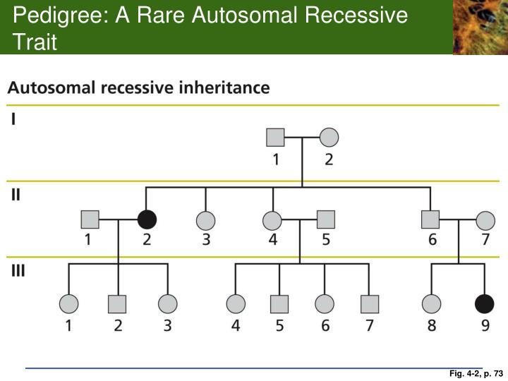 Recessive Trait