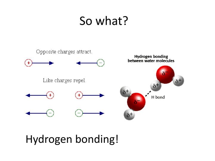 PPT - Mickey Mouse Molecule PowerPoint Presentation - ID:1459005