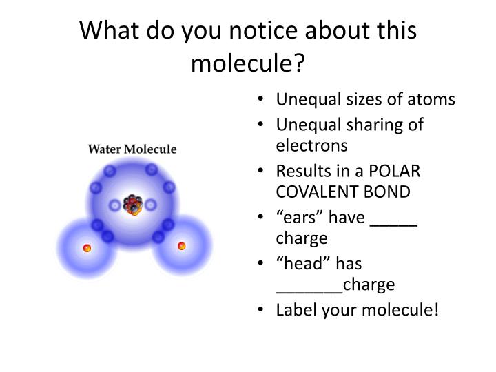 PPT - Mickey Mouse Molecule PowerPoint Presentation - ID:1459005