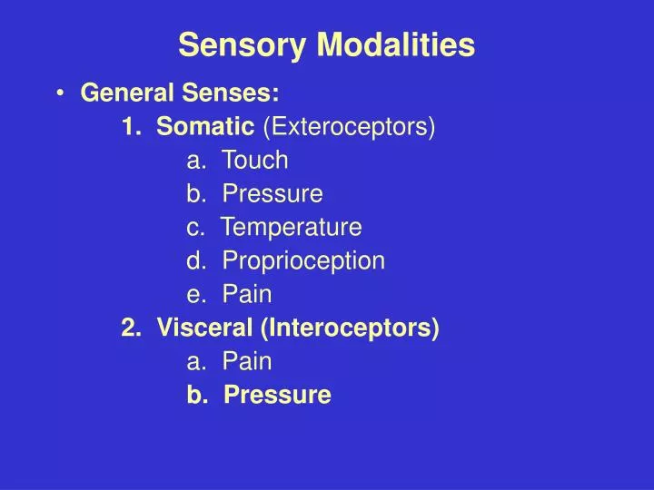 PPT - Sensory Modalities PowerPoint Presentation, free download - ID ...