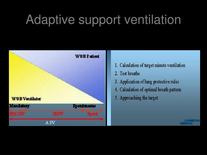 PPT - Newer modes of ventilation PowerPoint Presentation - ID:1459250