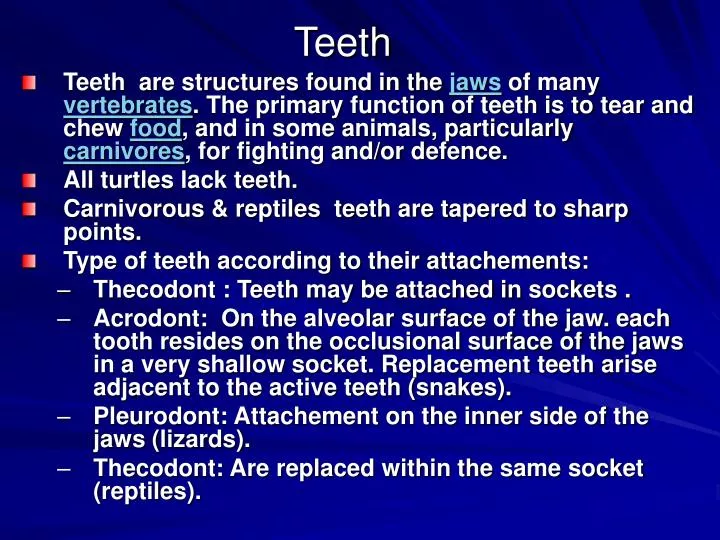 PPT - Teeth PowerPoint Presentation, free download - ID:1459533