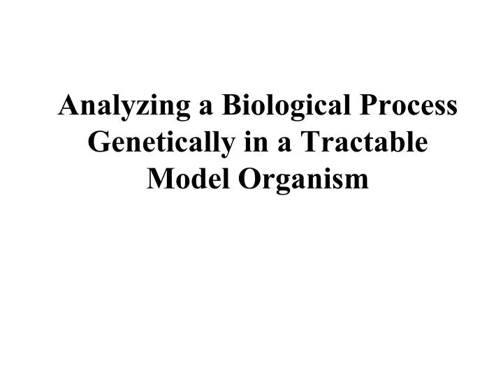 PPT - Analyzing a Biological Process Genetically in a Tractable Model ...