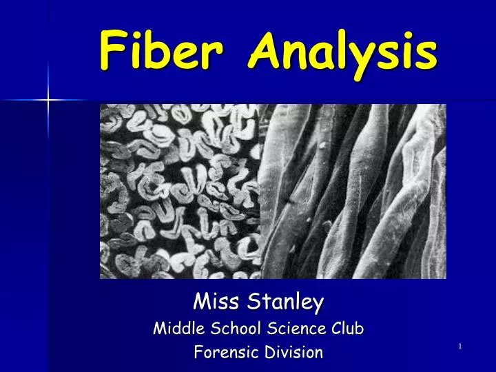 PPT - Fiber Analysis PowerPoint Presentation, free download - ID:1459620