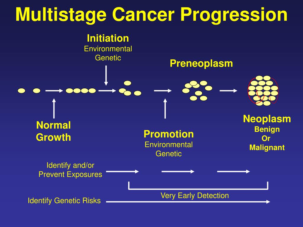PPT - Cancer Care Engineering: The Cancer Prevention Perspective ...