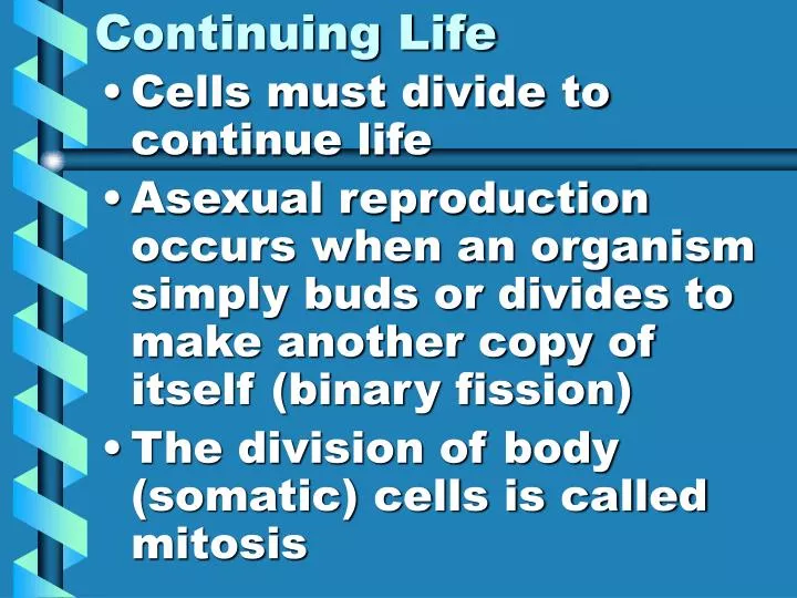 PPT - Continuing Life PowerPoint Presentation, free download - ID:1459979