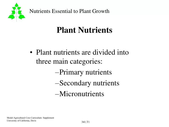 PPT - Plant Nutrients PowerPoint Presentation, free download - ID:1460126
