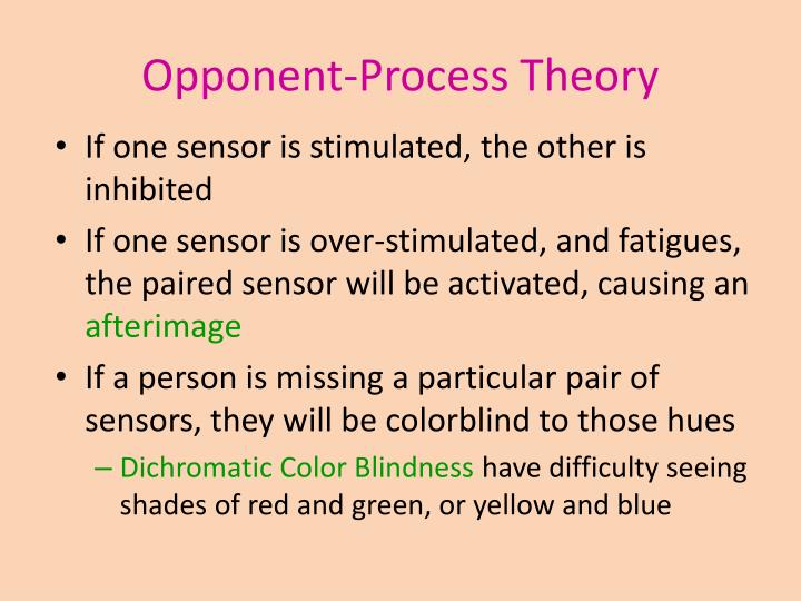 PPT - Sensation and Perception PowerPoint Presentation - ID:1460361