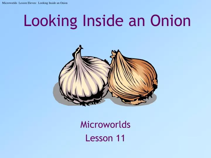 PPT - Looking Inside an Onion PowerPoint Presentation, free download ...