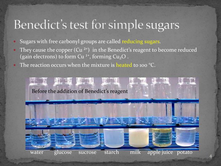 PPT - Unit 4. Macromolecules PowerPoint Presentation - ID:1460610