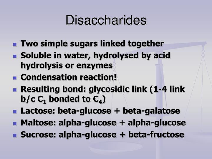 PPT - Carbohydrates PowerPoint Presentation - ID:1460852