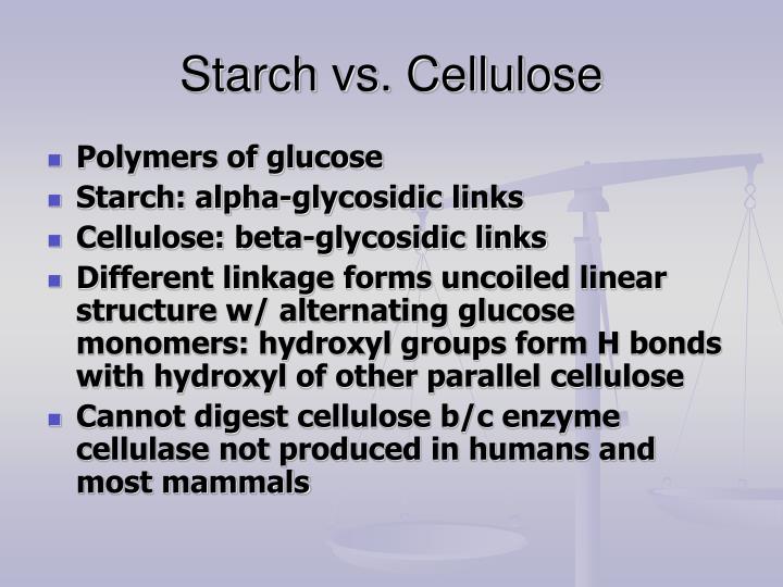 PPT - Carbohydrates PowerPoint Presentation - ID:1460852