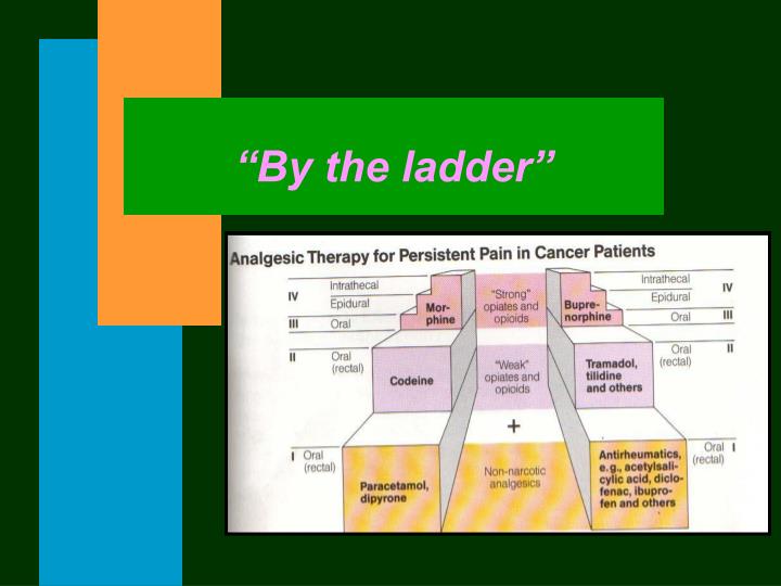 PPT - Cancer Pain Management PowerPoint Presentation - ID:1461548