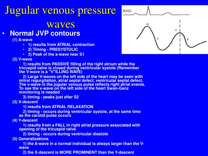 PPT - Pathophysiology of Pericardial Disease IMS 350 PowerPoint ...