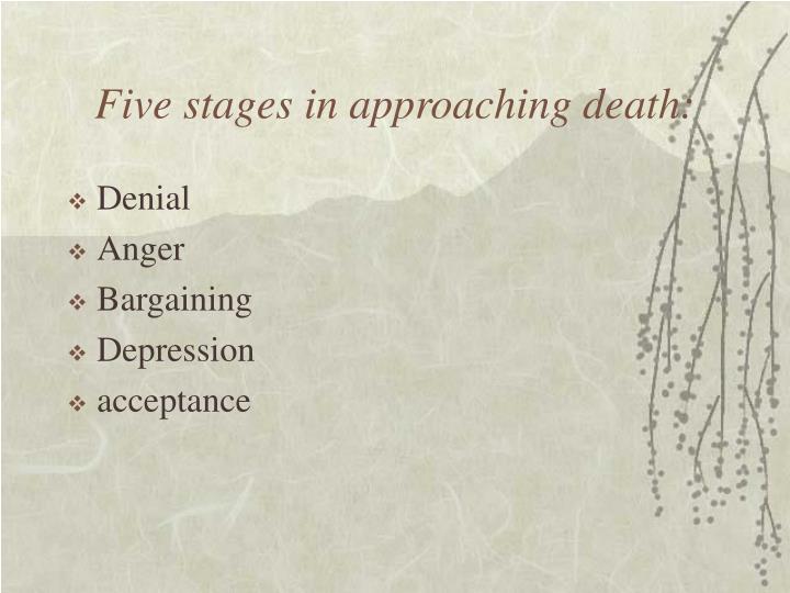 PPT - Death and Dying learning objectives: PowerPoint Presentation - ID ...