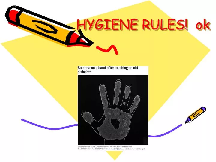 PPT - HYGIENE RULES! ok PowerPoint Presentation, free download - ID:1463253