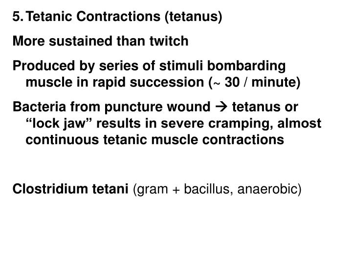 PPT - Functions of (Skeletal) Muscles PowerPoint Presentation - ID:1463284