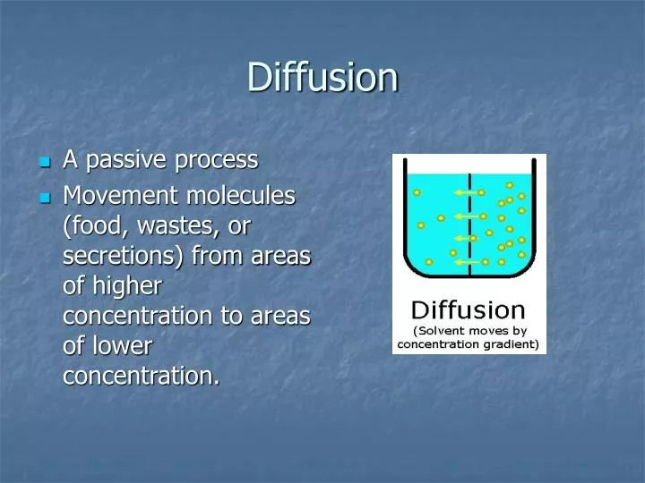 PPT - Diffusion PowerPoint Presentation, free download - ID:1463306