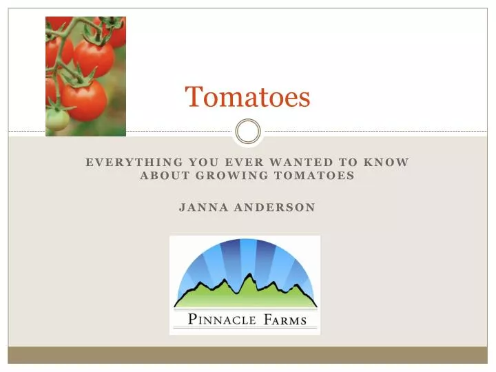 PPT - Tomatoes PowerPoint Presentation, free download - ID:1464915