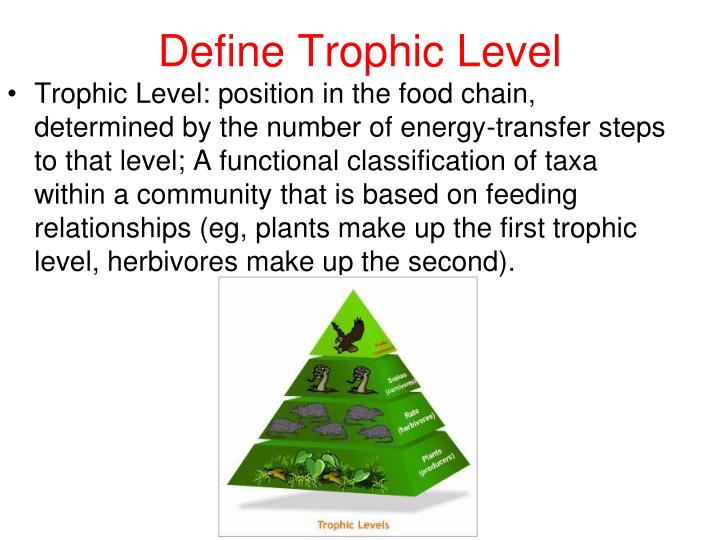 PPT - Topic 5 – Topic 5.1 Communities and ecosystems PowerPoint ...