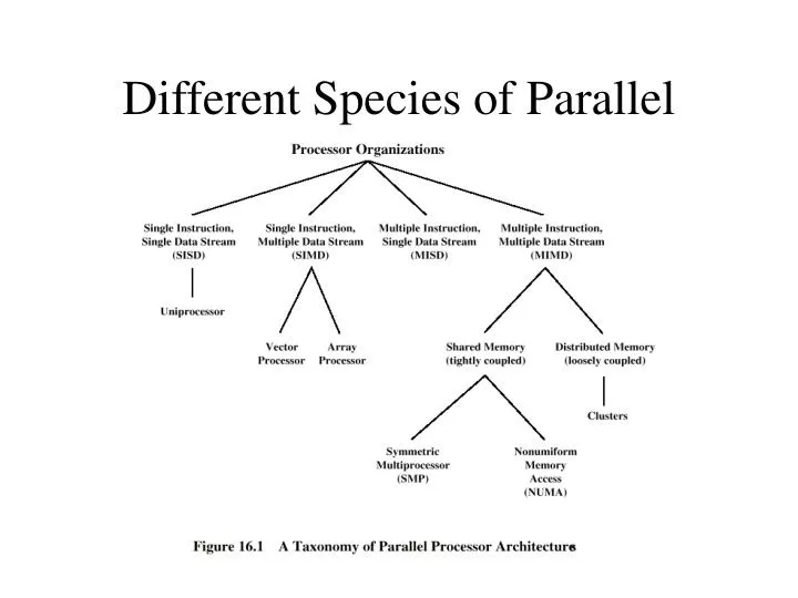 PPT - Different Species of Parallel PowerPoint Presentation, free ...