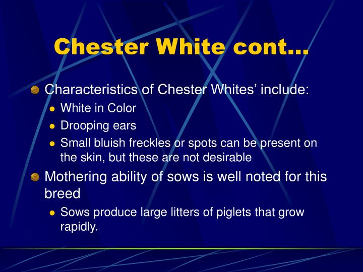 PPT - Breeds of Swine: An Introduction PowerPoint Presentation - ID:1465910