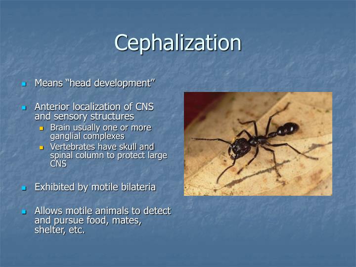 PPT - Practice Questions for Exam 1 PowerPoint Presentation - ID:1465965