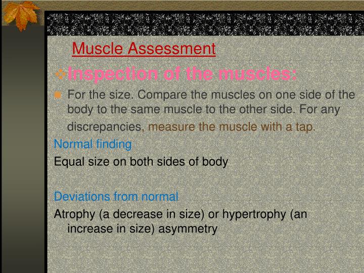 PPT - Assessment of Musculoskeletal System PowerPoint Presentation - ID ...