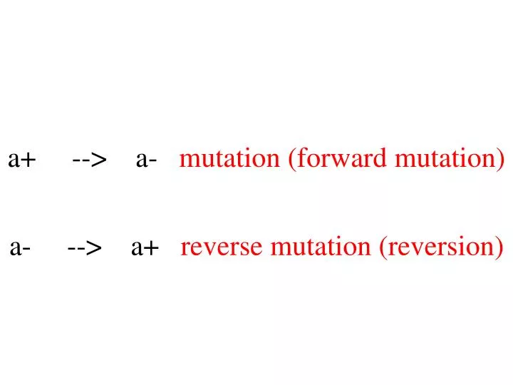 PPT - a+ --> a- mutation (forward mutation) PowerPoint Presentation ...