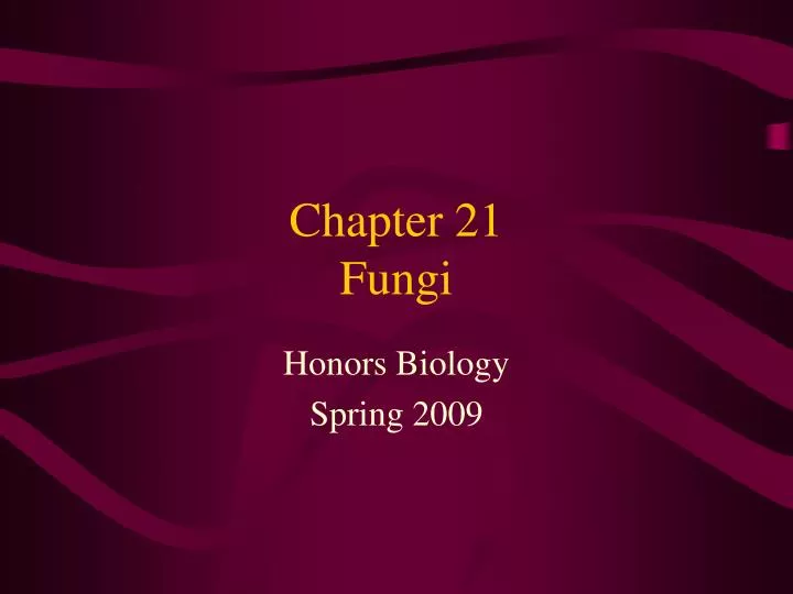 PPT - Chapter 21 Fungi PowerPoint Presentation, free download - ID:1466324