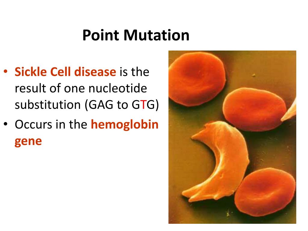 PPT - Molecular Basis of Mutation PowerPoint Presentation, free ... PPT - Molecular Basis of Mutation PowerPoint Presentation, free ...