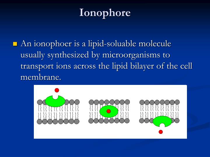 PPT - Artificial Oocyte Activation(AOA) ; Is it beneficial or not ...