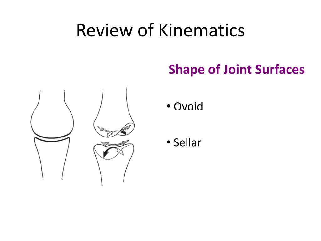 Ppt Cervical Mobilization Powerpoint Presentation Free Download Id