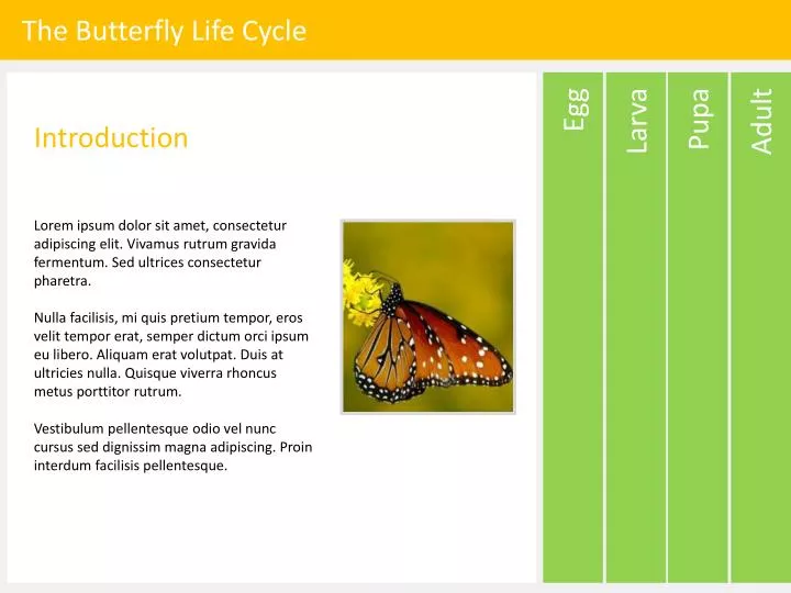PPT - Introduction PowerPoint Presentation, free download - ID:1467624