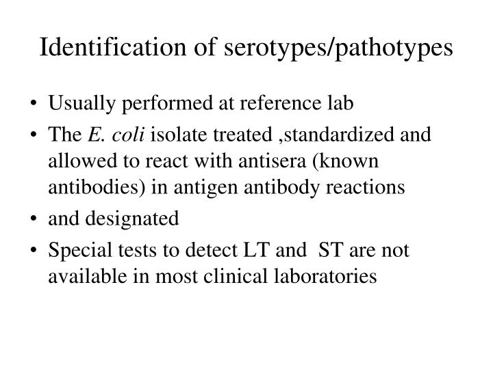 PPT - Enterobacteriaceae PowerPoint Presentation - ID:147030