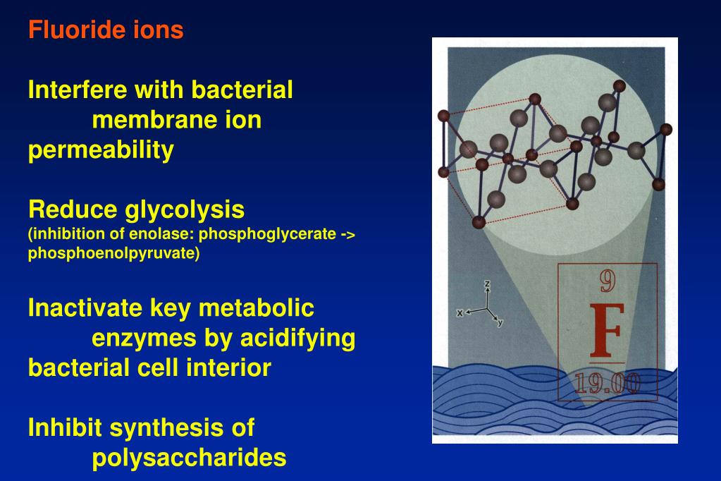 PPT - MICROBIOLOGY OF DENTAL CARIES PowerPoint Presentation, free ...