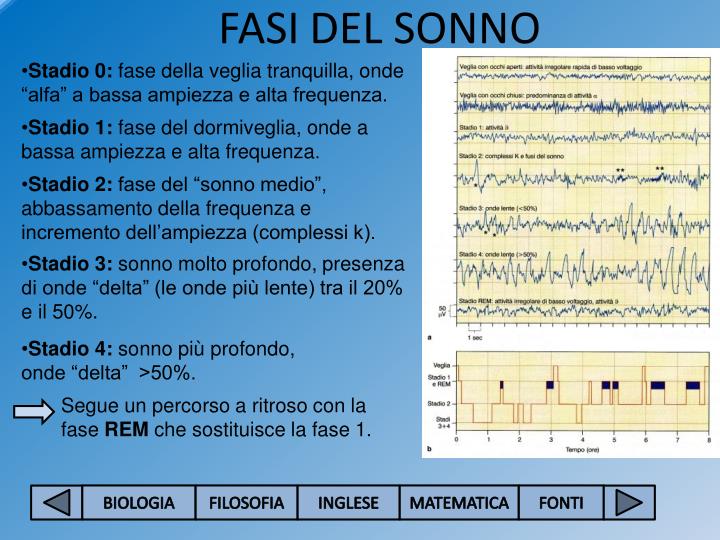 PPT - IL SONNO PowerPoint Presentation - ID:1472405