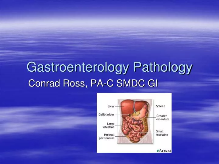 PPT - Gastroenterology Pathology PowerPoint Presentation, free download ...