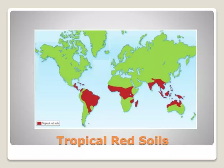 PPT - Tropical Red Soils PowerPoint Presentation, free download - ID ...