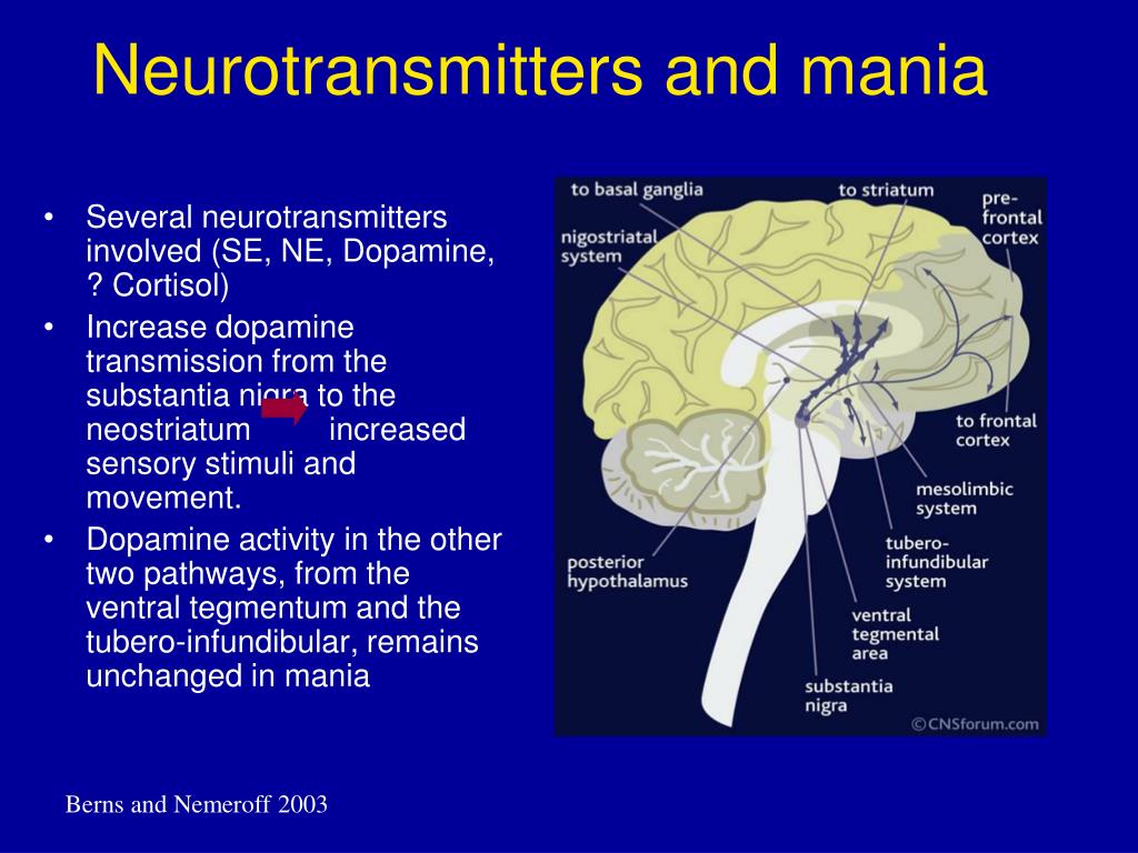 PPT - Robert Kelly, MD Assistant Professor of Psychiatry Weill Cornell ...