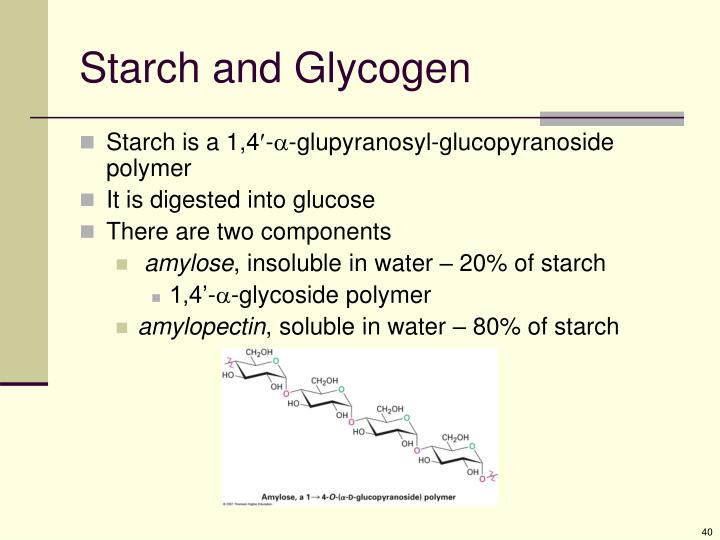 PPT - Chapter 25. Biomolecules: Carbohydrates PowerPoint Presentation ...