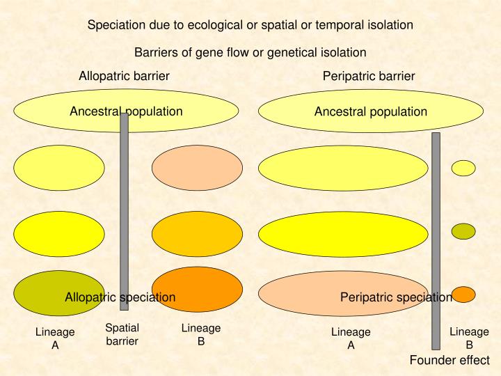 PPT - 1 1 . Patterns of speciation and extinction PowerPoint ...