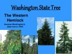 PPT - Washington State Facts and Symbols PowerPoint Presentation - ID ...